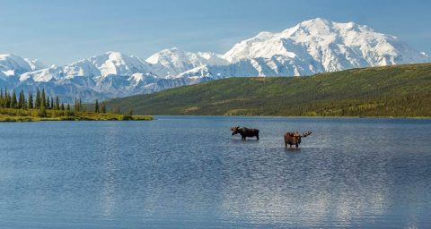 Best Alaska Tour Companies | Premier Alaska Tours